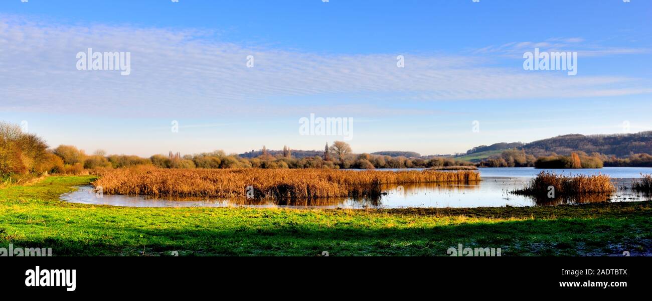 Attenborough Nature reserve,gravel pit, Nottingham, UK Stock Photo - Alamy