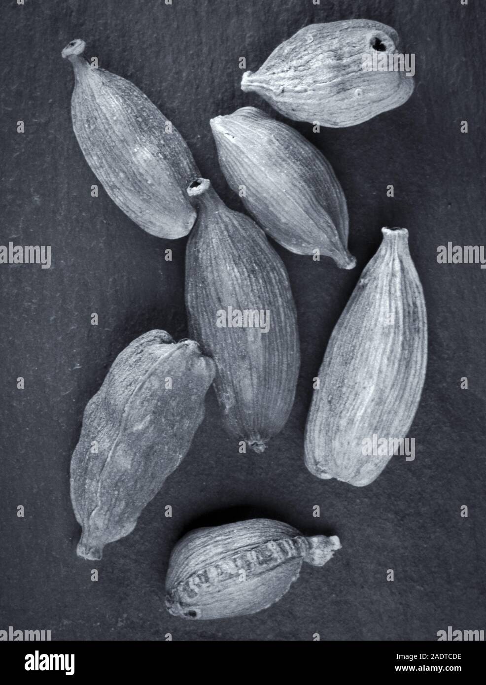 Seven pod hi-res stock photography and images - Alamy