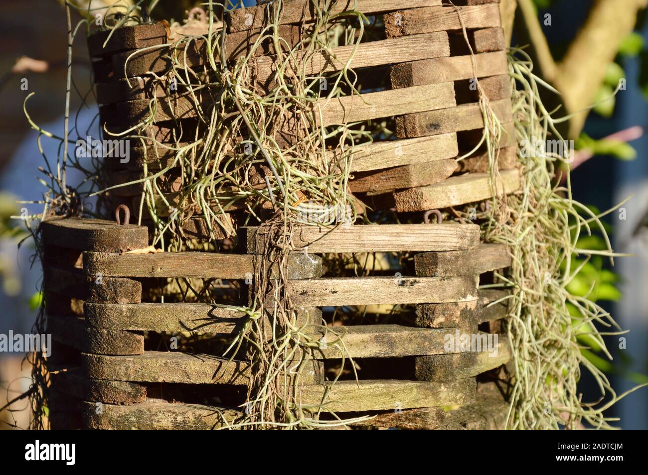 Mobile crawl hi-res stock photography and images - Alamy