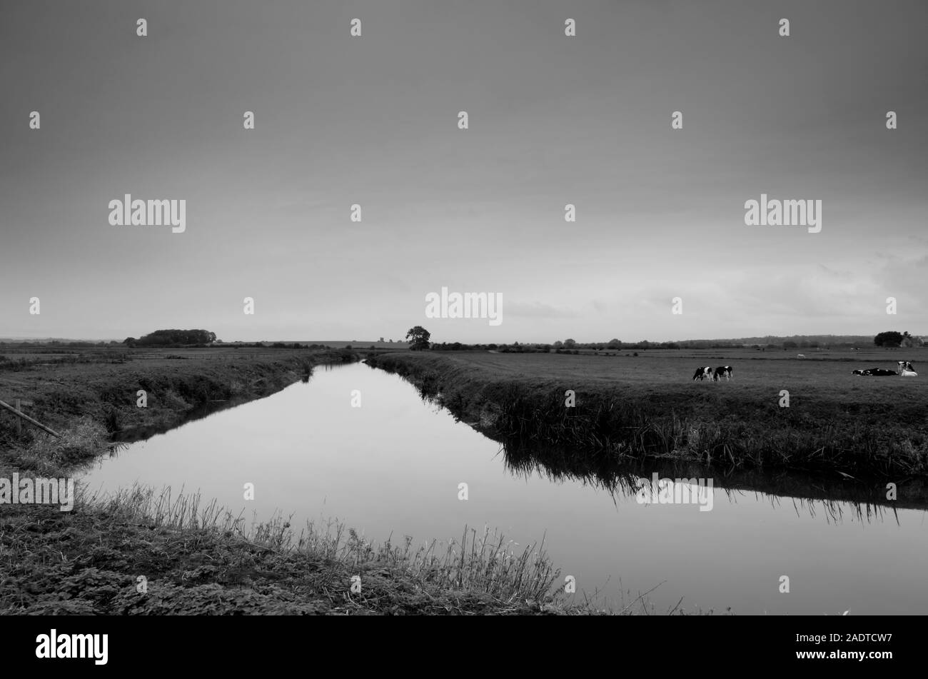 River Yeo at Mulcheney, Somerset Levels, Somerset, England, UK Stock ...