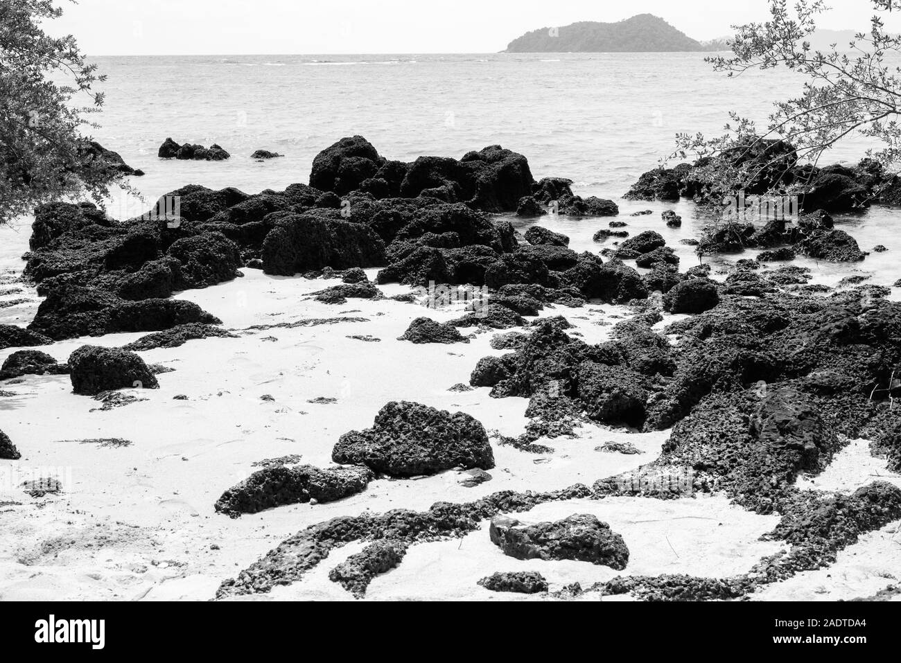 Seaside tropical landscape Black and White Stock Photos & Images - Alamy