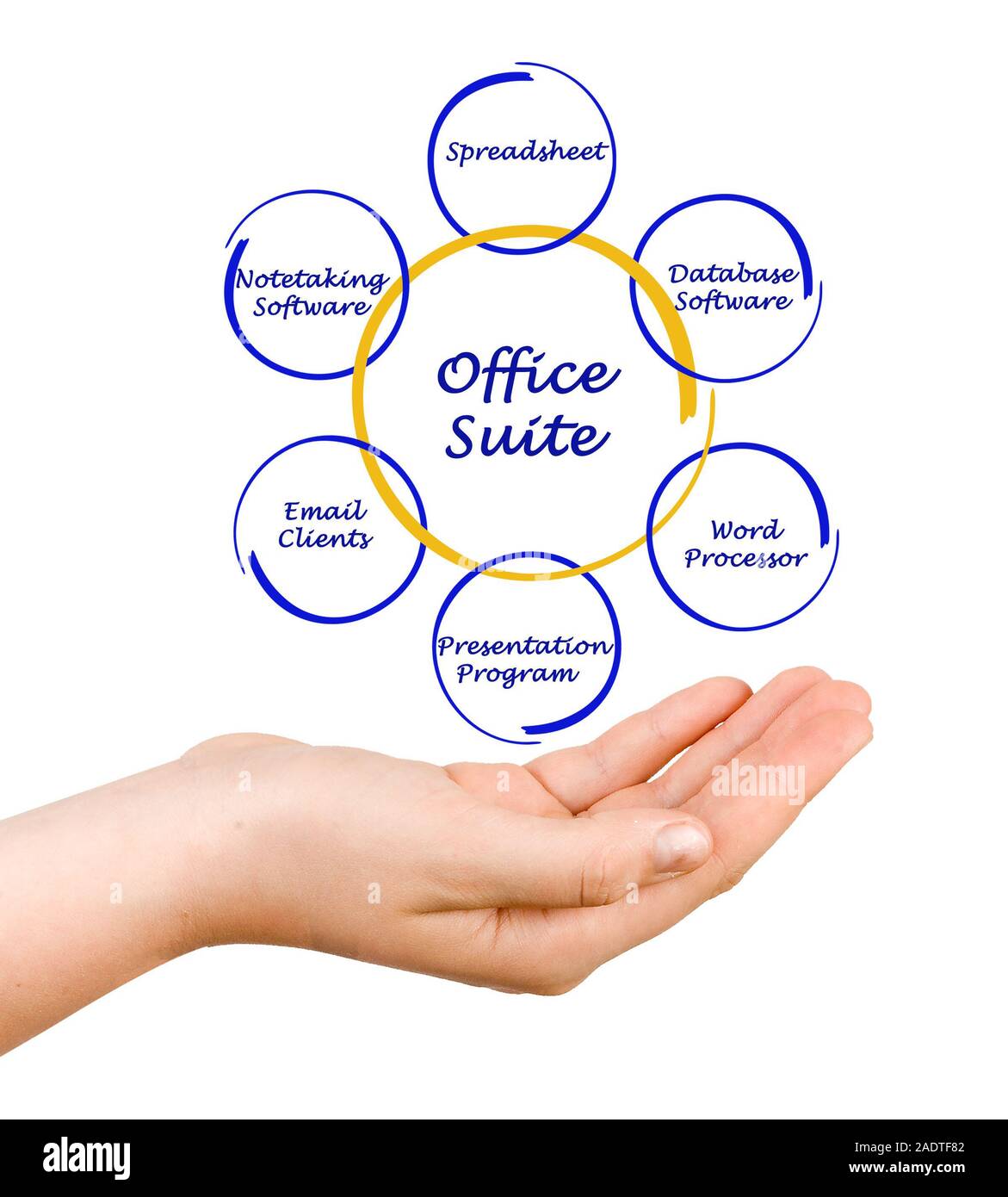 Diagram of office suite Stock Photo - Alamy