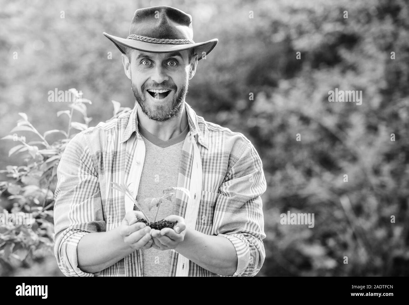 successful farmer hold plant in ground in hands. muscular ranch man in ...