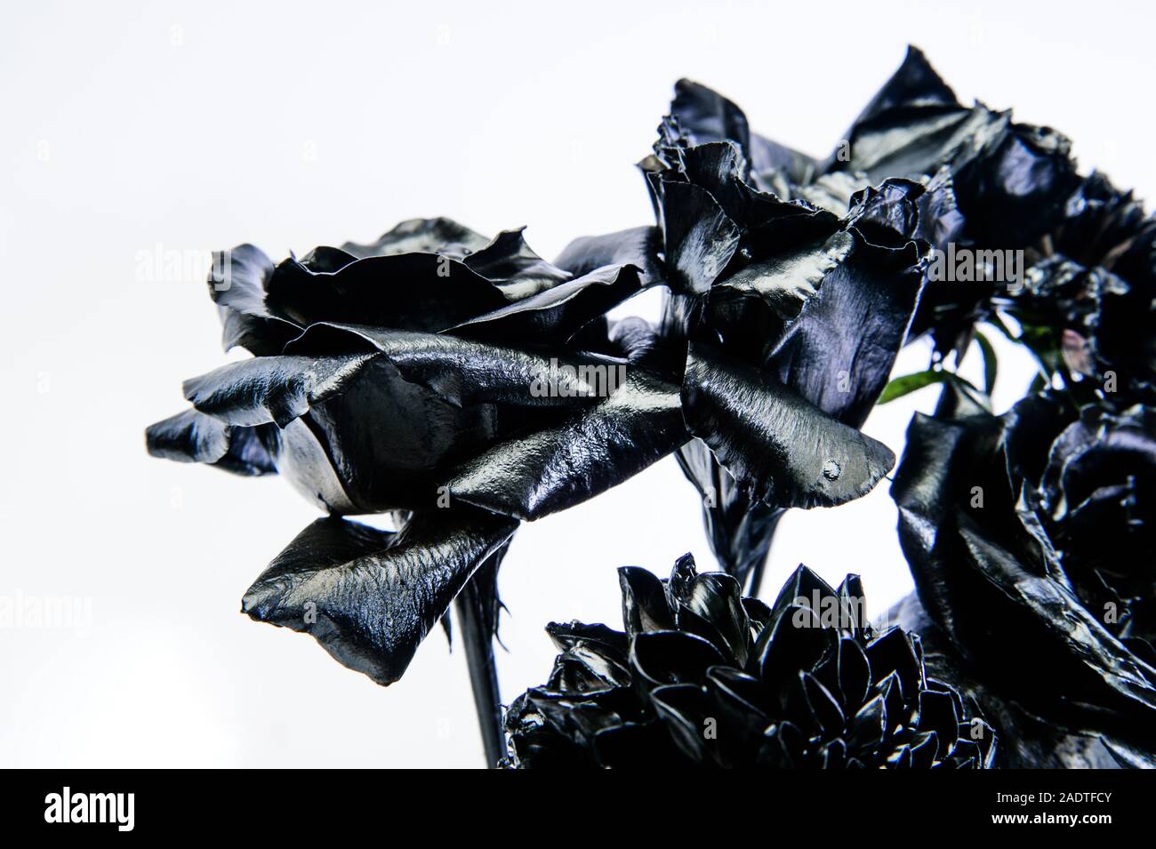 Metal flower. Forging and sculpture. Beautiful black silver flower ...