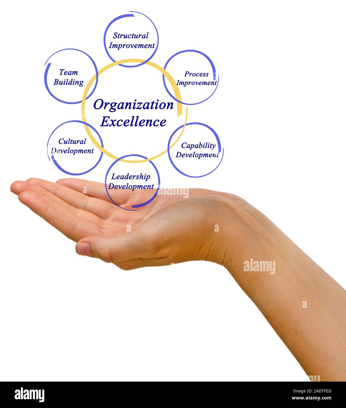 Diagram of Organization Excellence Stock Photo - Alamy