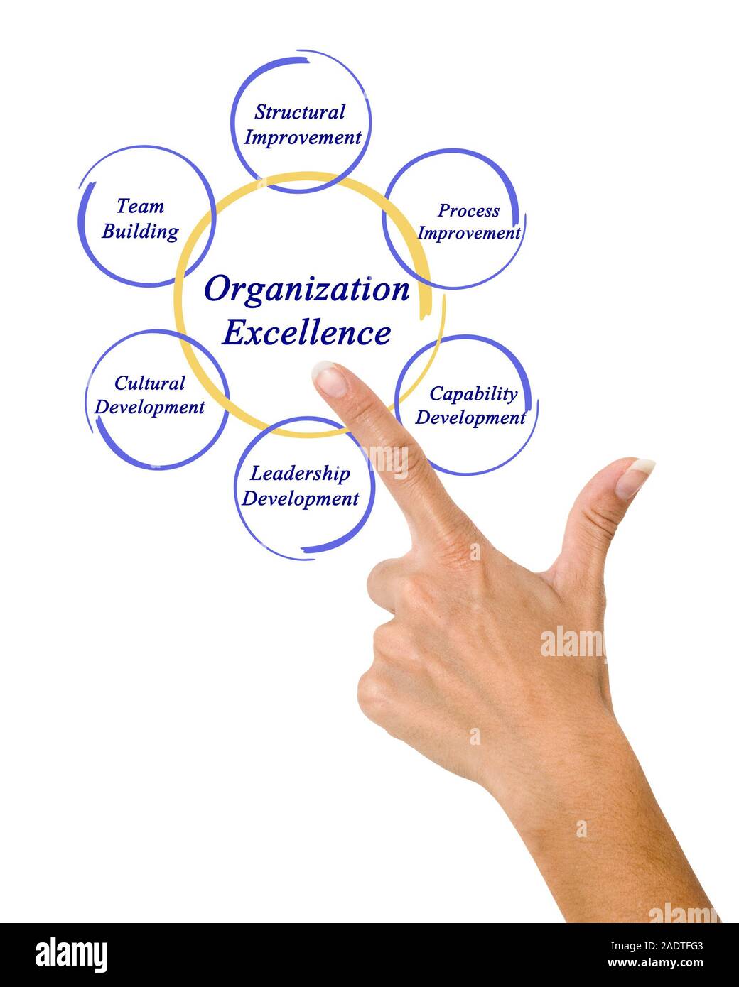 Diagram of Organization Excellence Stock Photo - Alamy