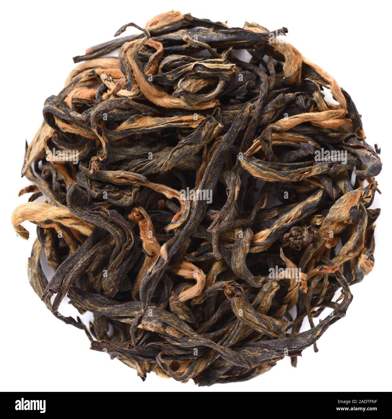 Round leaf tea tree hi-res stock photography and images - Alamy