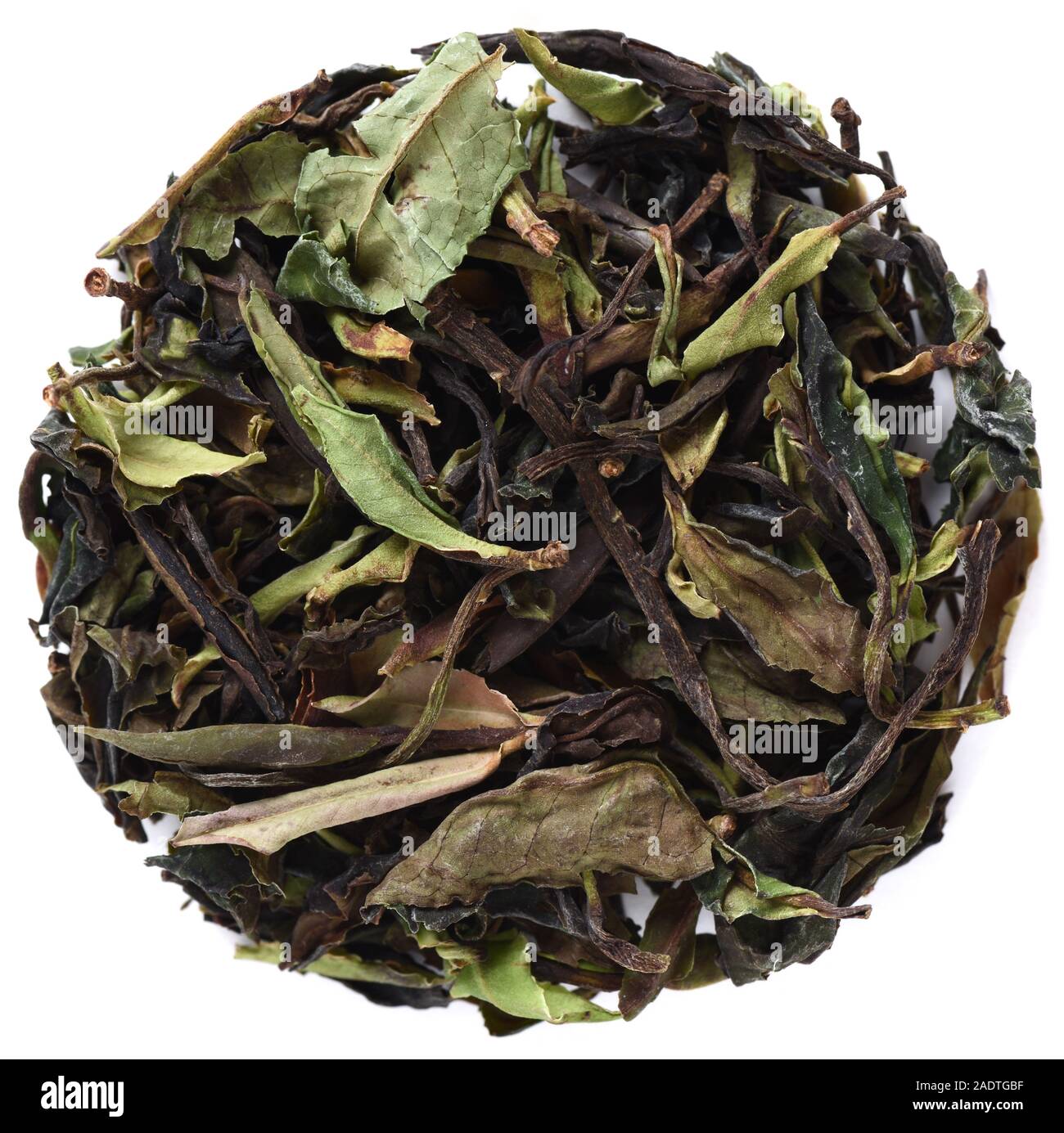 Wild Tree Purple Moonlight White Tea isolated Stock Photo - Alamy