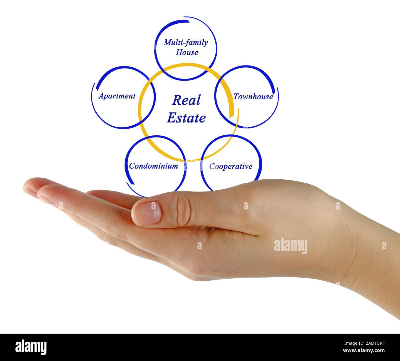 Expert real estate agent Cut Out Stock Images & Pictures - Alamy