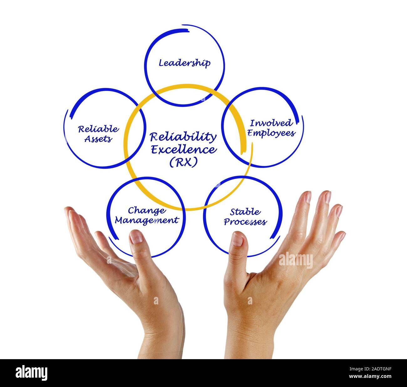 Reliability Excellence (RX Stock Photo - Alamy