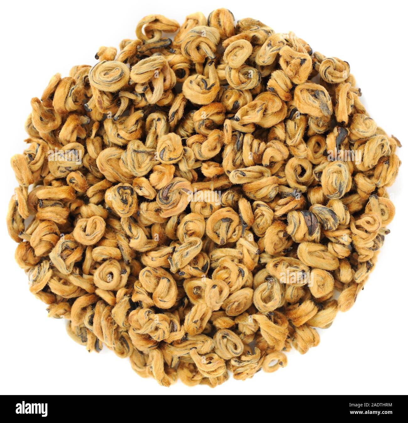 Bi lo hi-res stock photography and images - Alamy