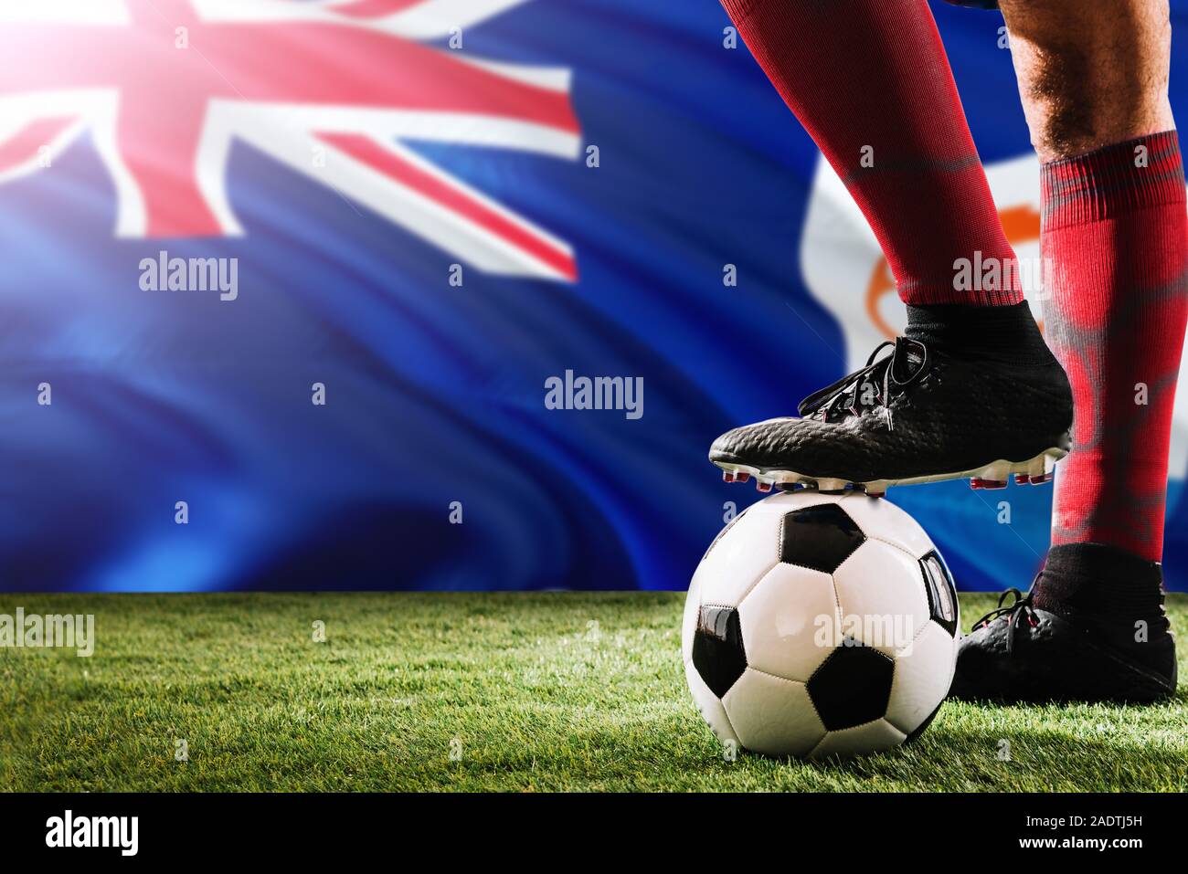 Anguilla anguilla grass hi-res stock photography and images - Alamy