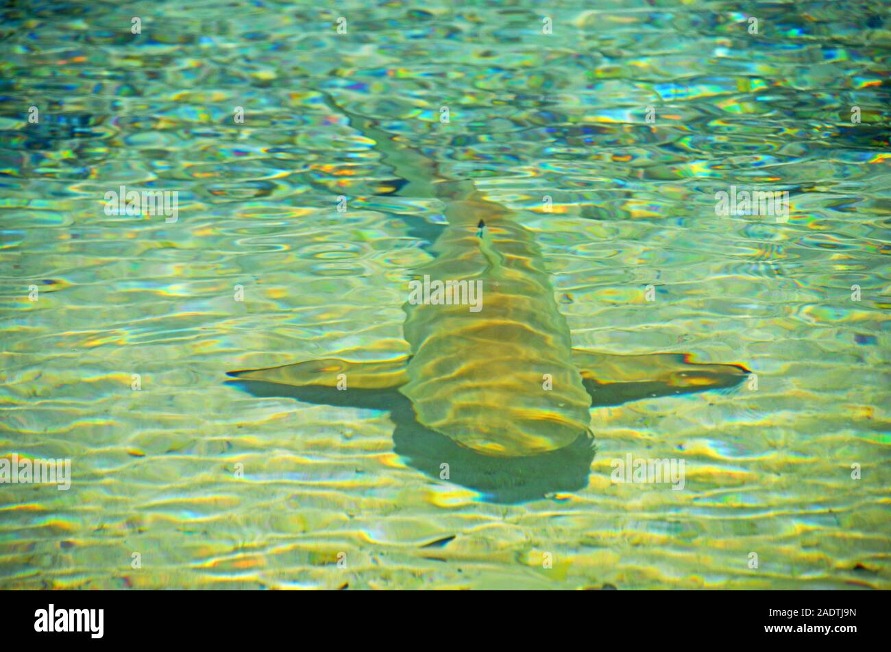 Anaa atoll hi-res stock photography and images - Alamy