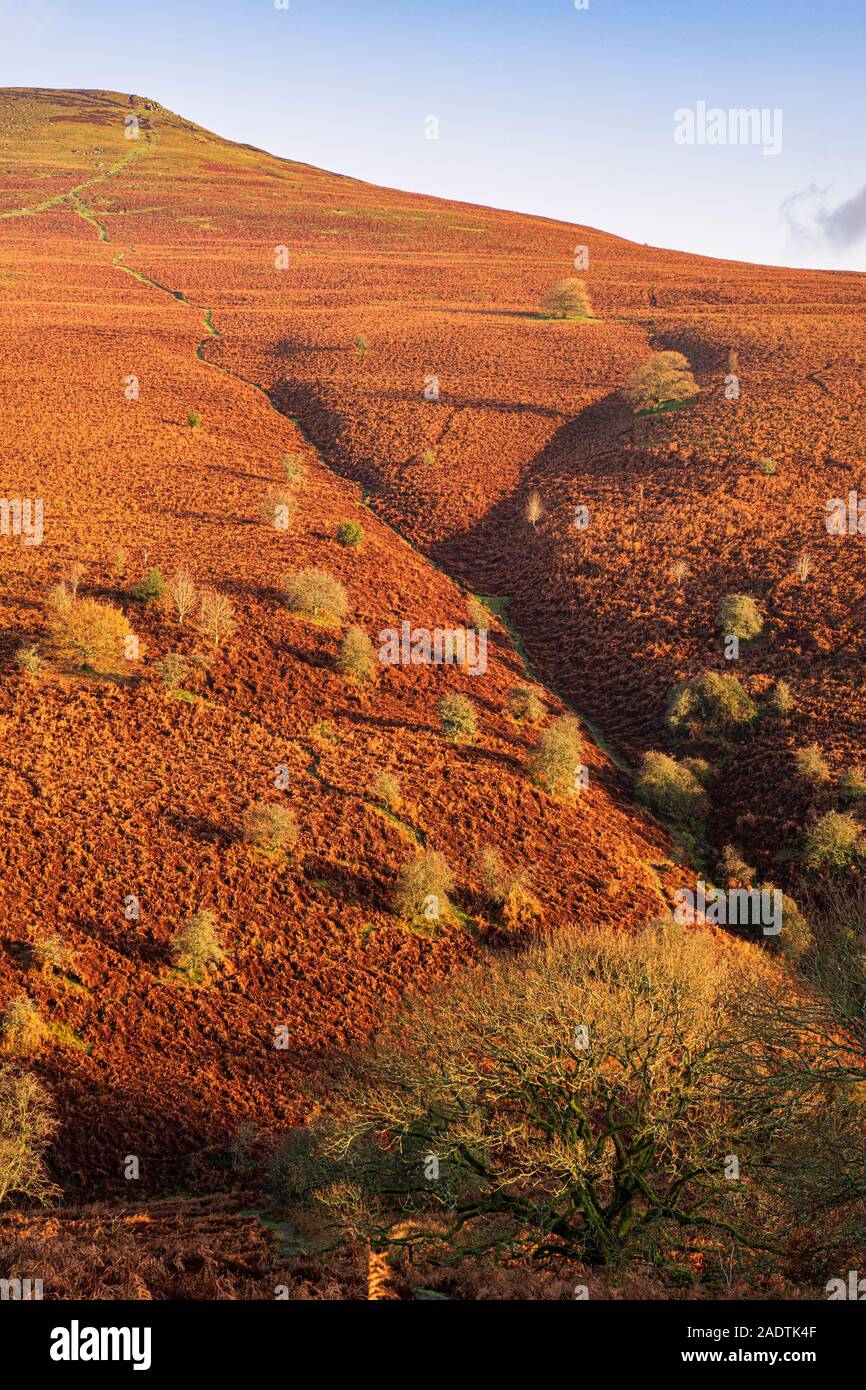 Black mountains wales sugar loaf hi-res stock photography and images ...