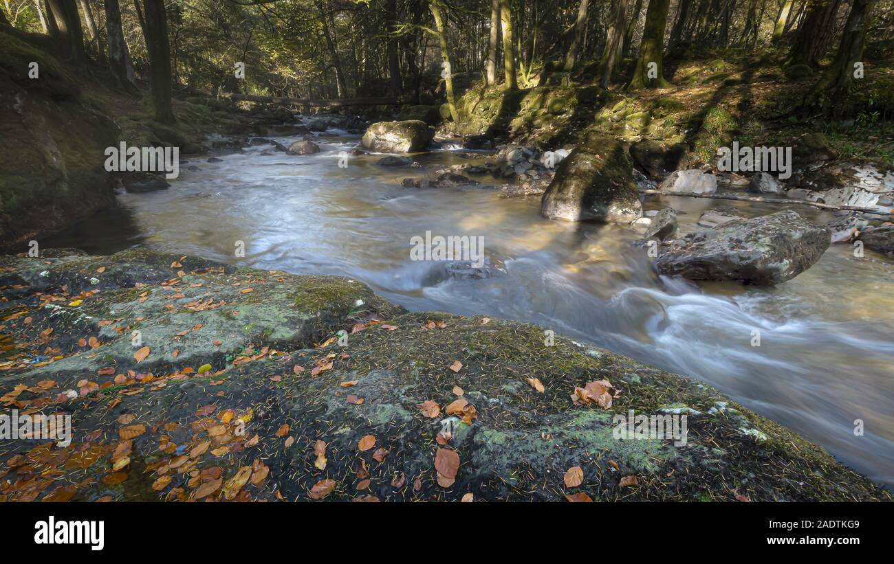Stream with rocks lit by afternoon sunlight in Scottish woodland ...