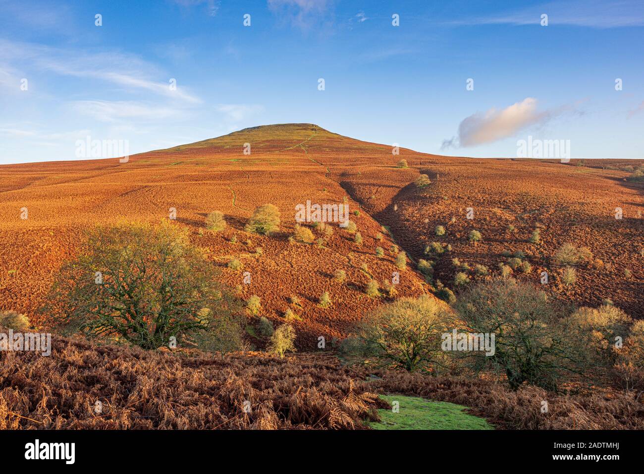 Sugar loaf mountain wales hi-res stock photography and images - Alamy