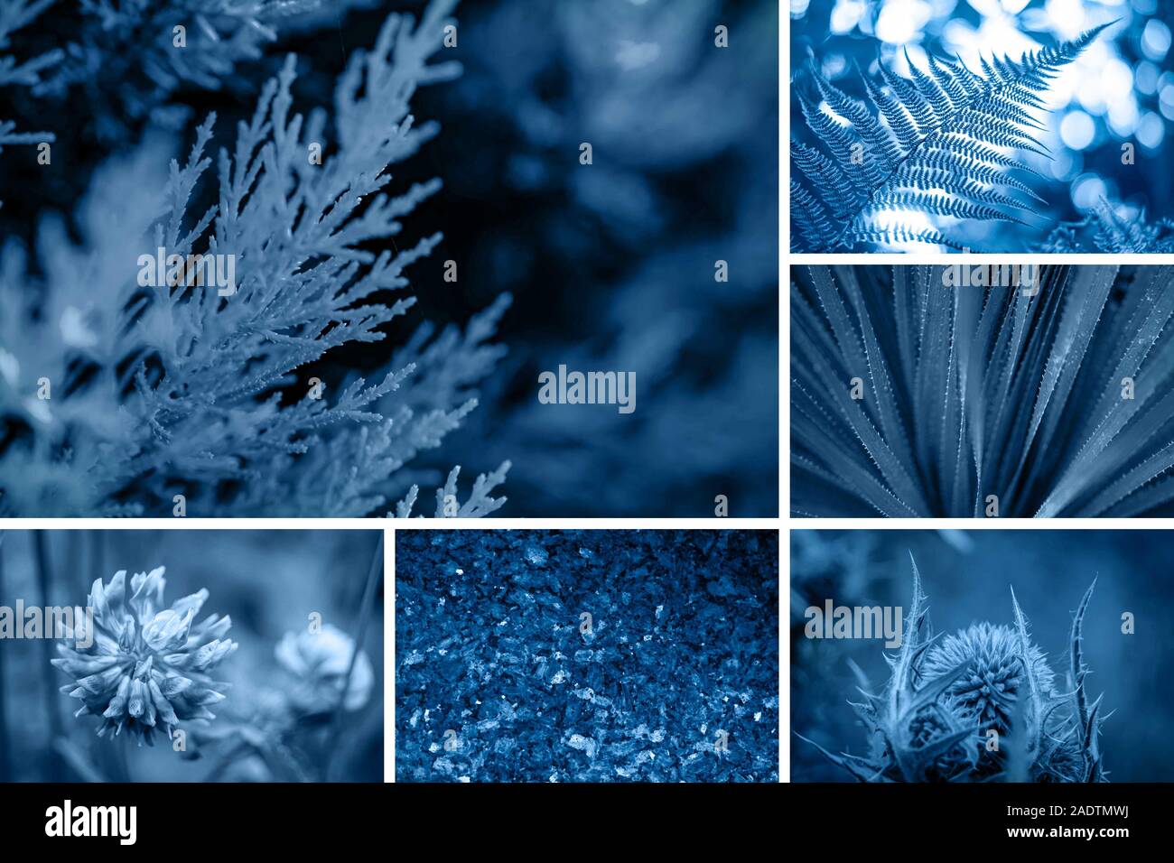 Collage of blue abstract and nature pictures and backgrounds in serene ...