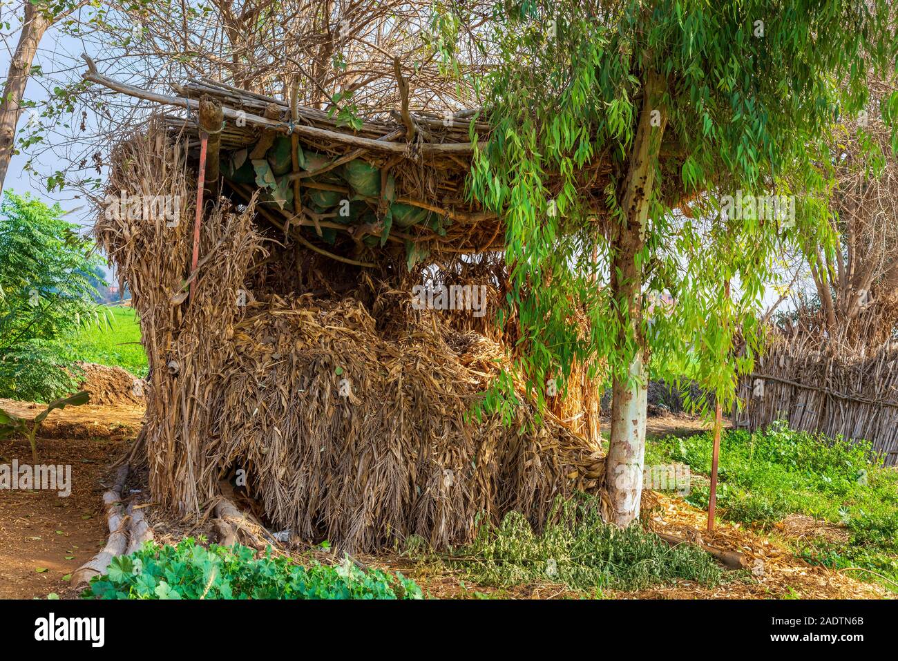 Tropical Straw Roof Hut High Resolution Stock Photography and Images ...
