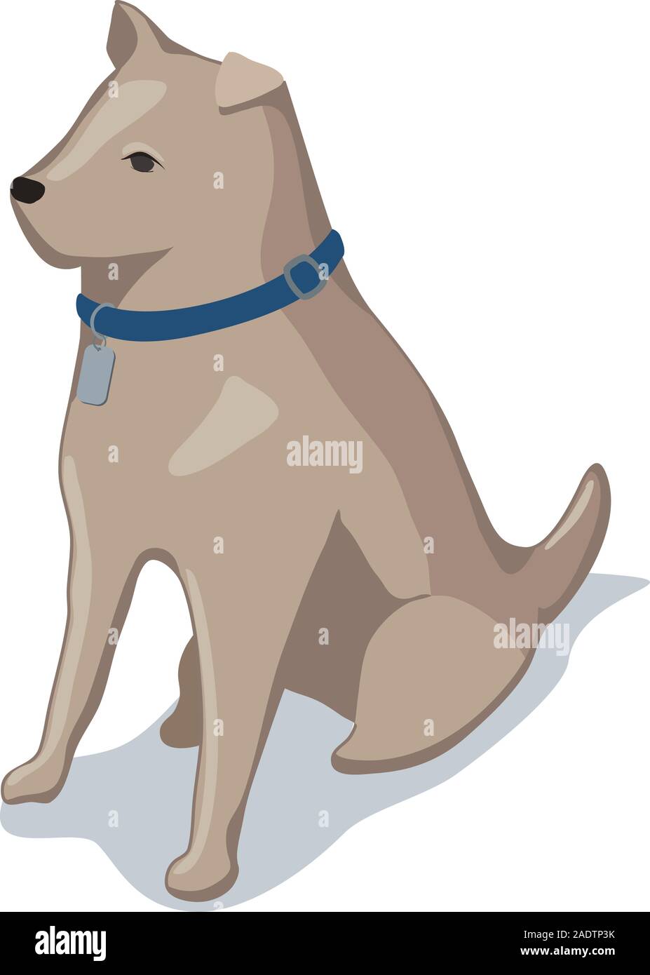 Isometric Japanese dog vector illustration with white background Stock ...