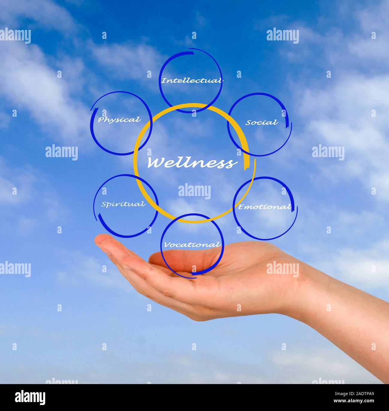 Diagram of wellness Stock Photo - Alamy