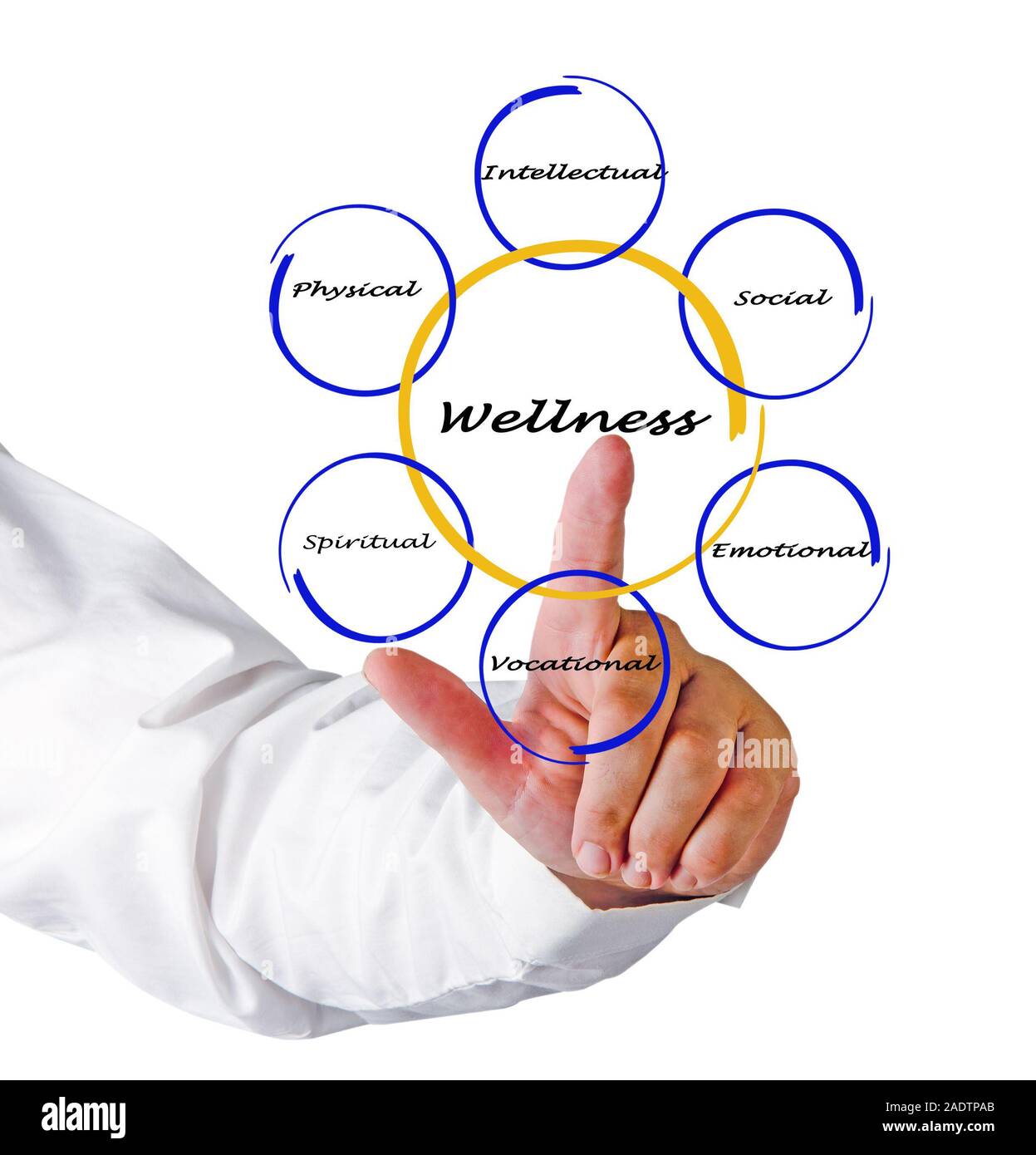 Diagram of wellness Stock Photo - Alamy