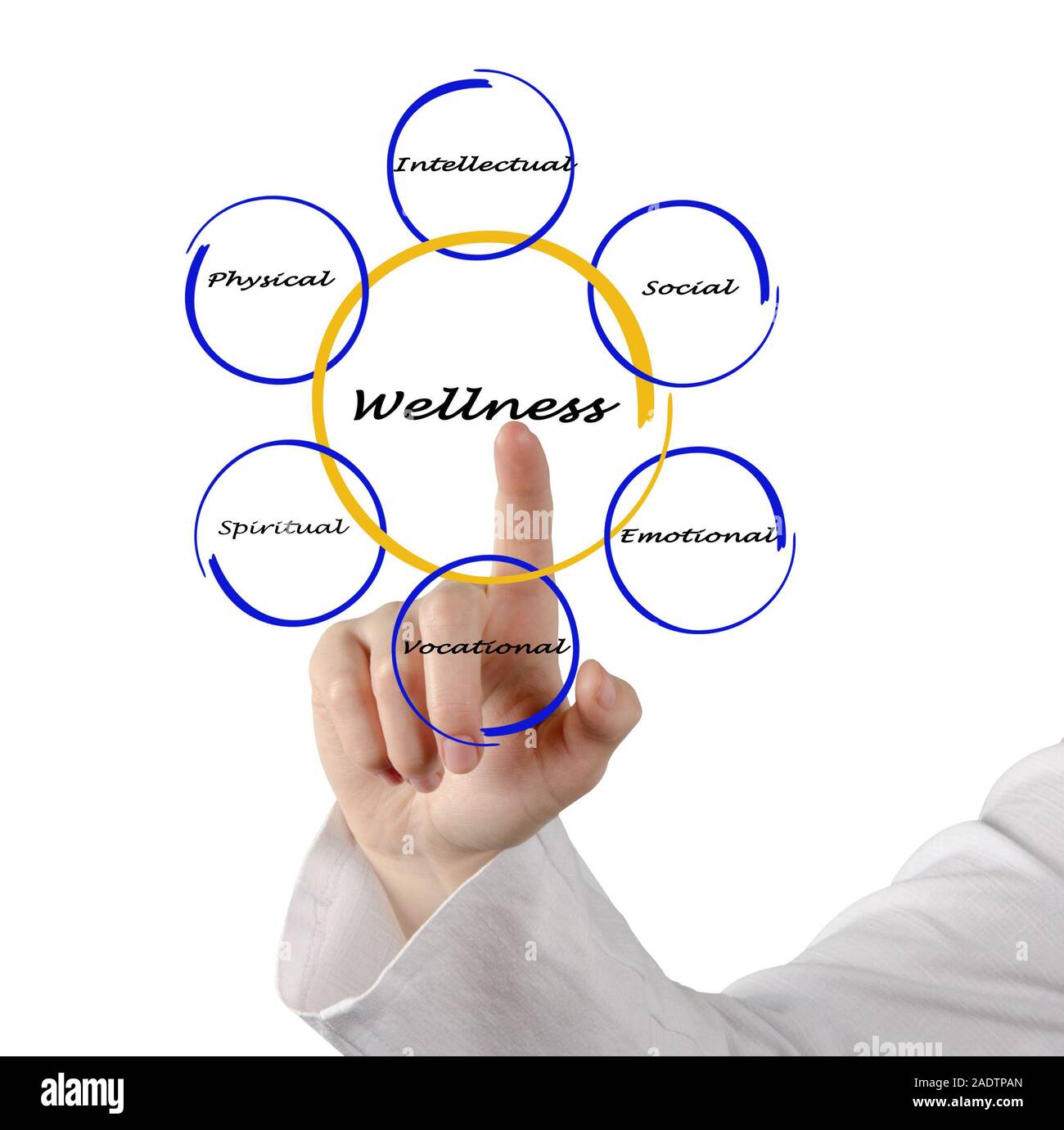 Diagram of wellness Stock Photo - Alamy
