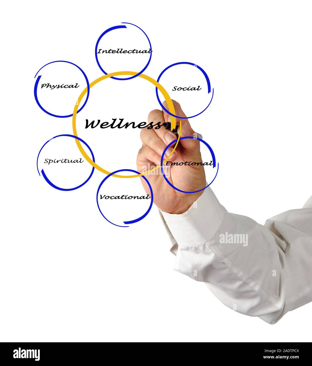 Diagram of wellness Stock Photo - Alamy