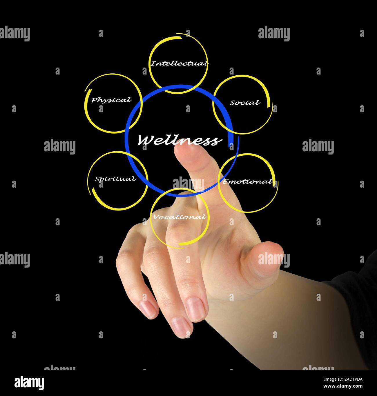 Diagram of wellness Stock Photo - Alamy
