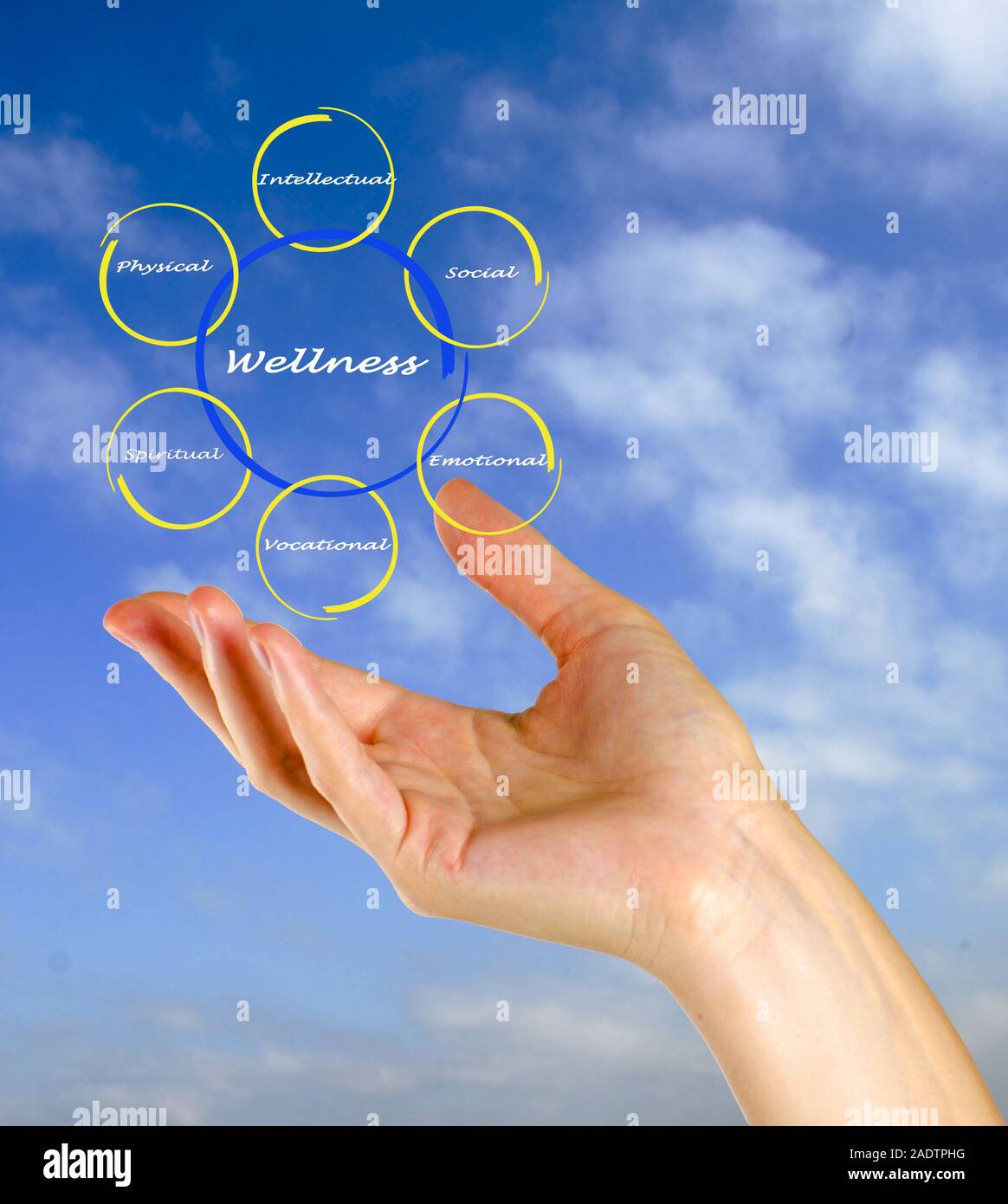 Diagram of wellness Stock Photo - Alamy