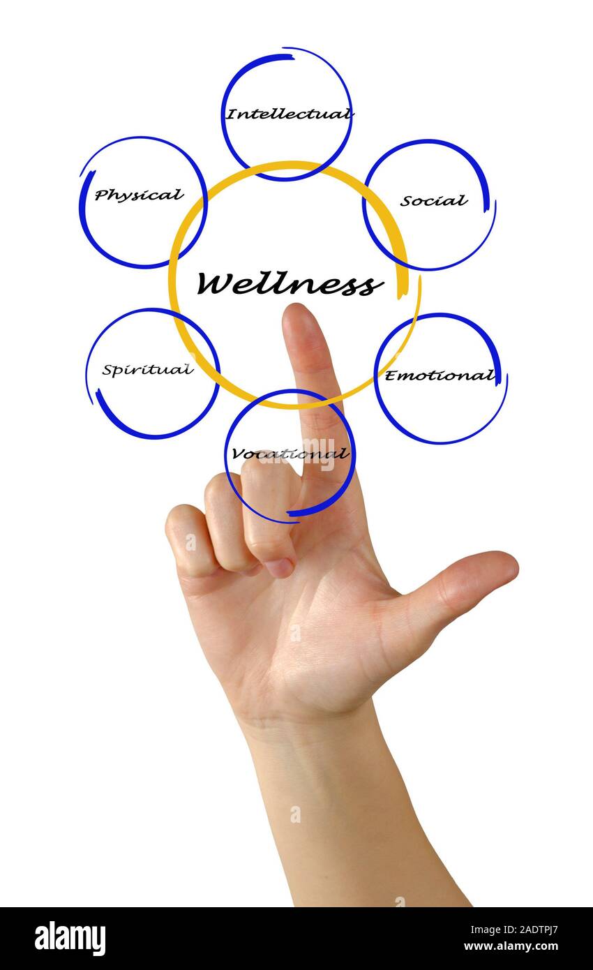 Diagram of wellness Stock Photo - Alamy
