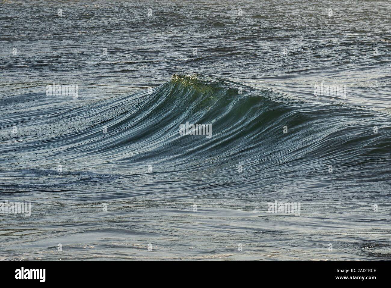 lonely wave breaking on the ocean Stock Photo - Alamy