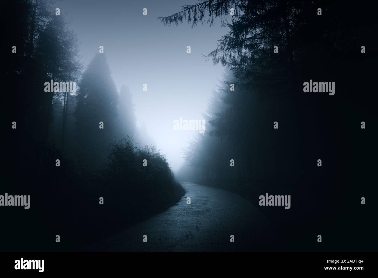 Dark and mysterious path into the woods Stock Photo - Alamy