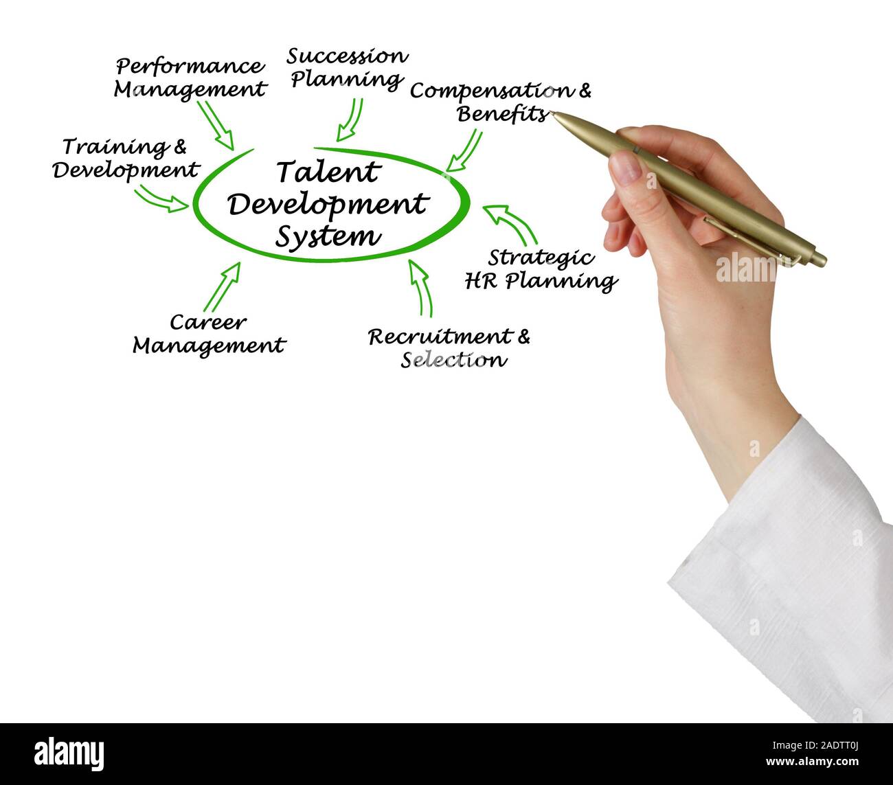 Talent development hi-res stock photography and images - Alamy