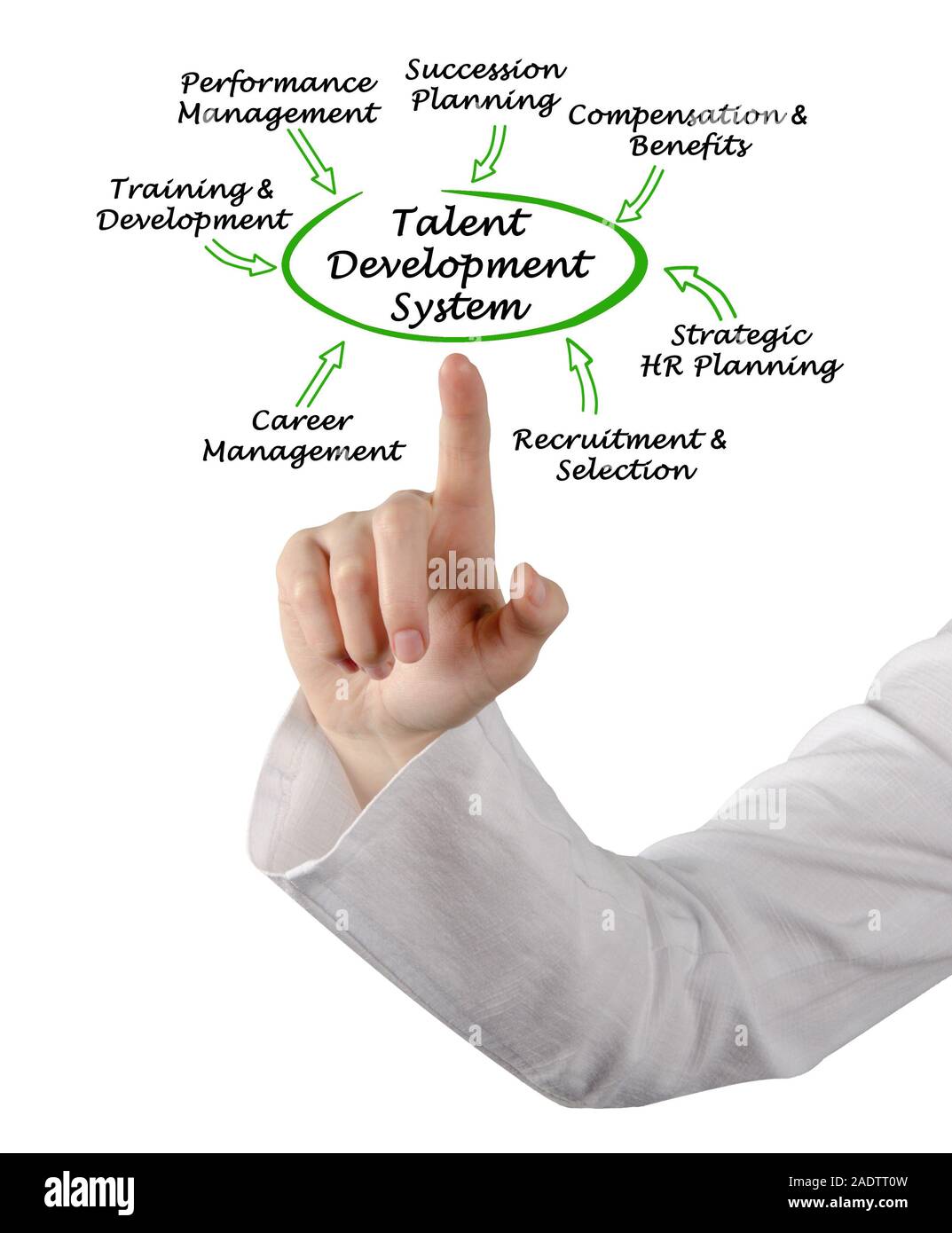 Talent Development System Stock Photo - Alamy