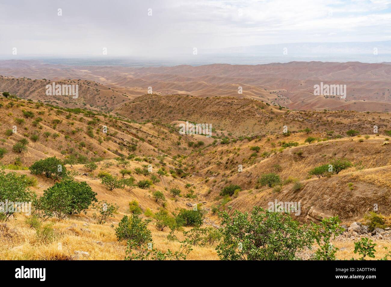Bokhtar hi-res stock photography and images - Alamy