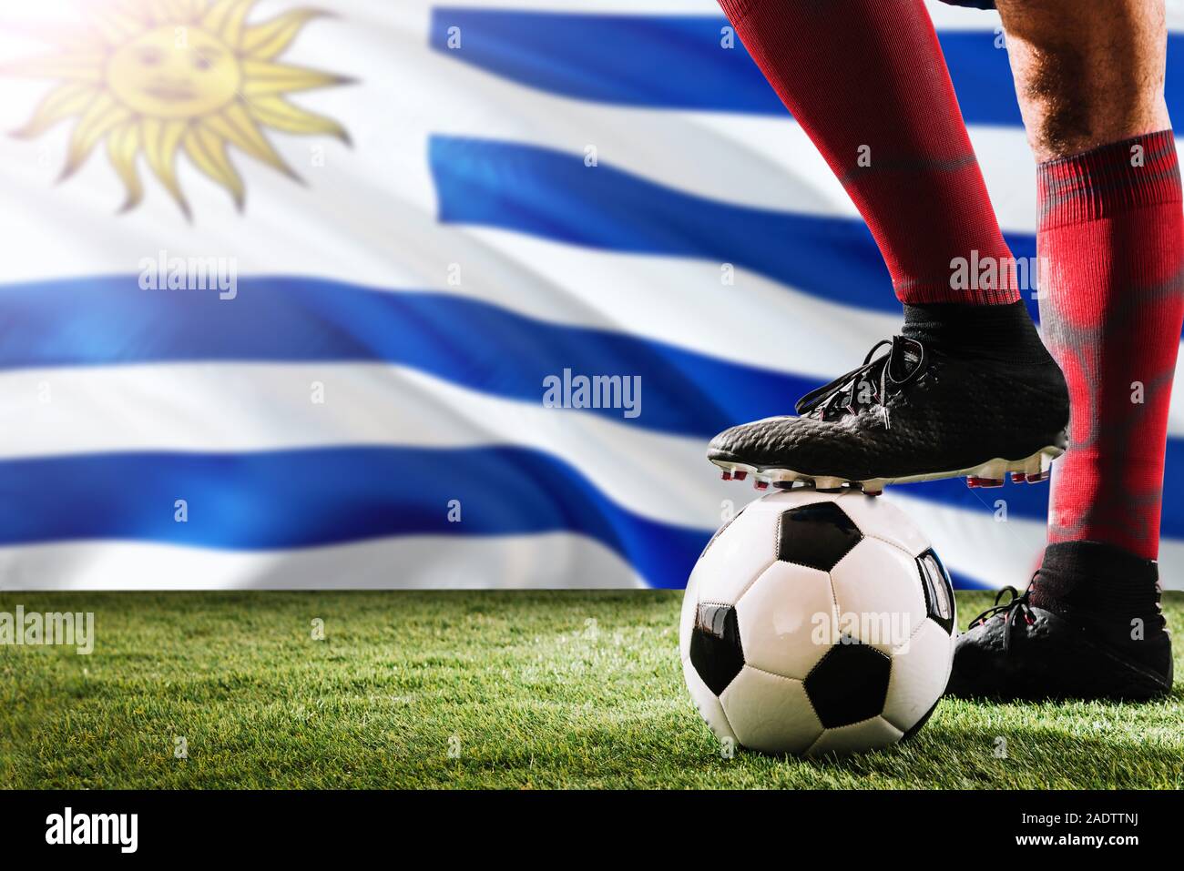 Close up legs of Uruguay football team player in red socks, shoes on ...
