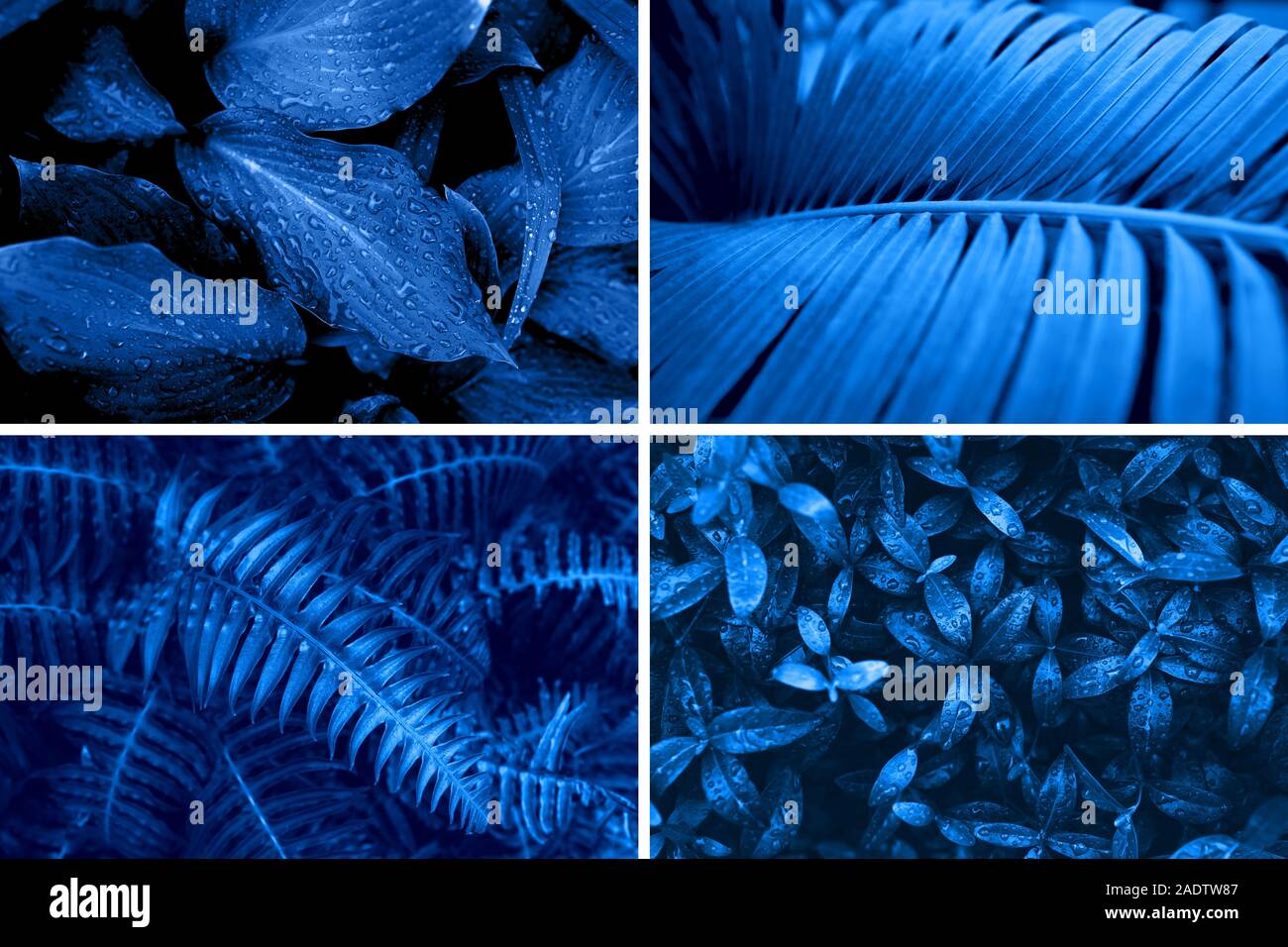 Creative collage tinted in blue color Stock Photo - Alamy