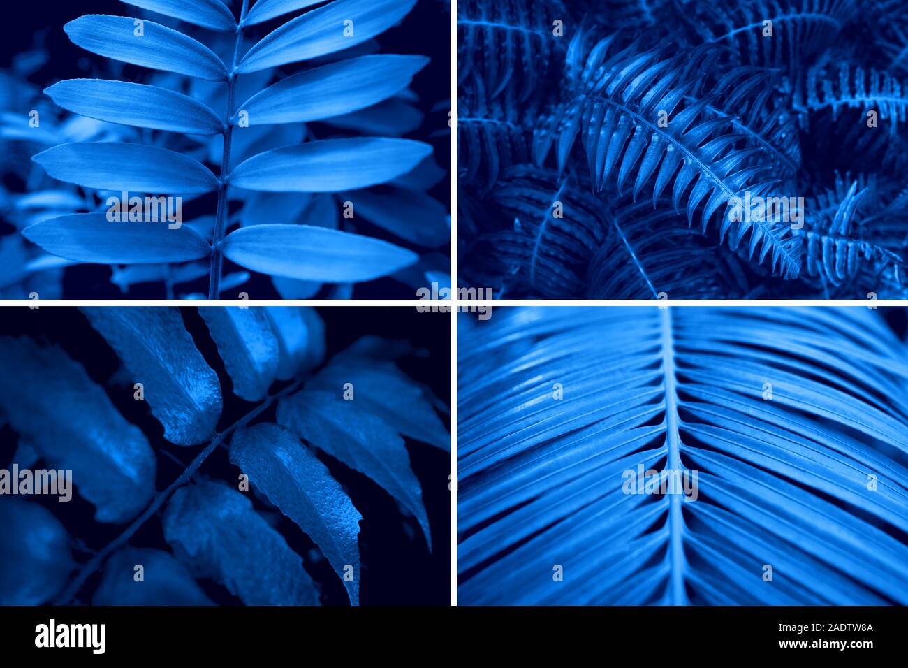 Creative collage tinted in blue color Stock Photo - Alamy