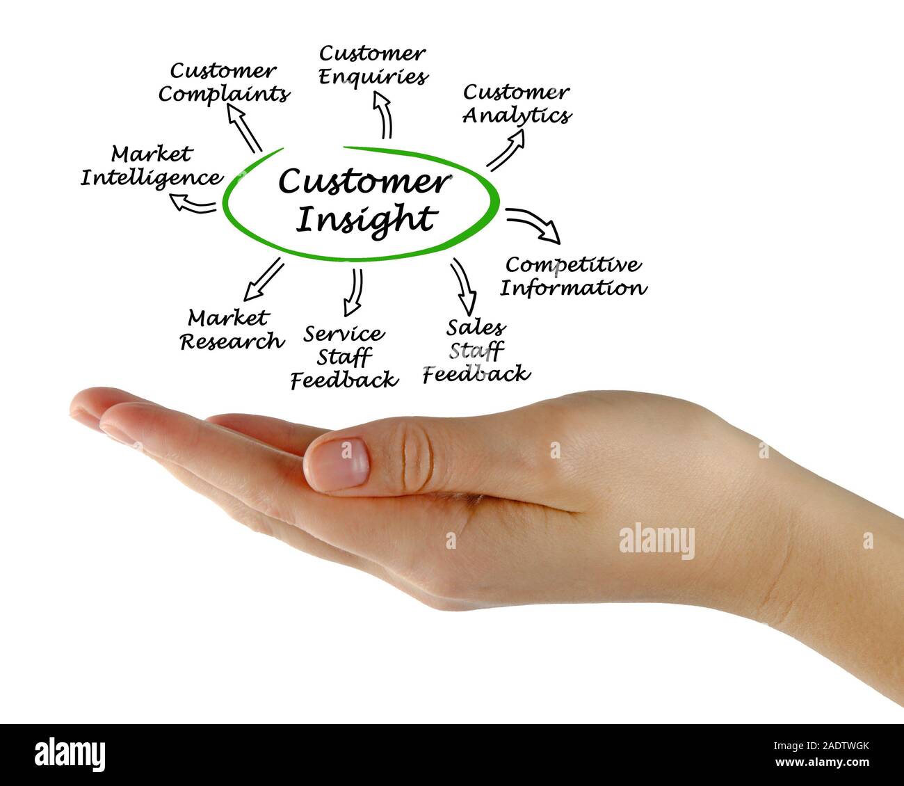 Diagram of Customer Insight Stock Photo - Alamy