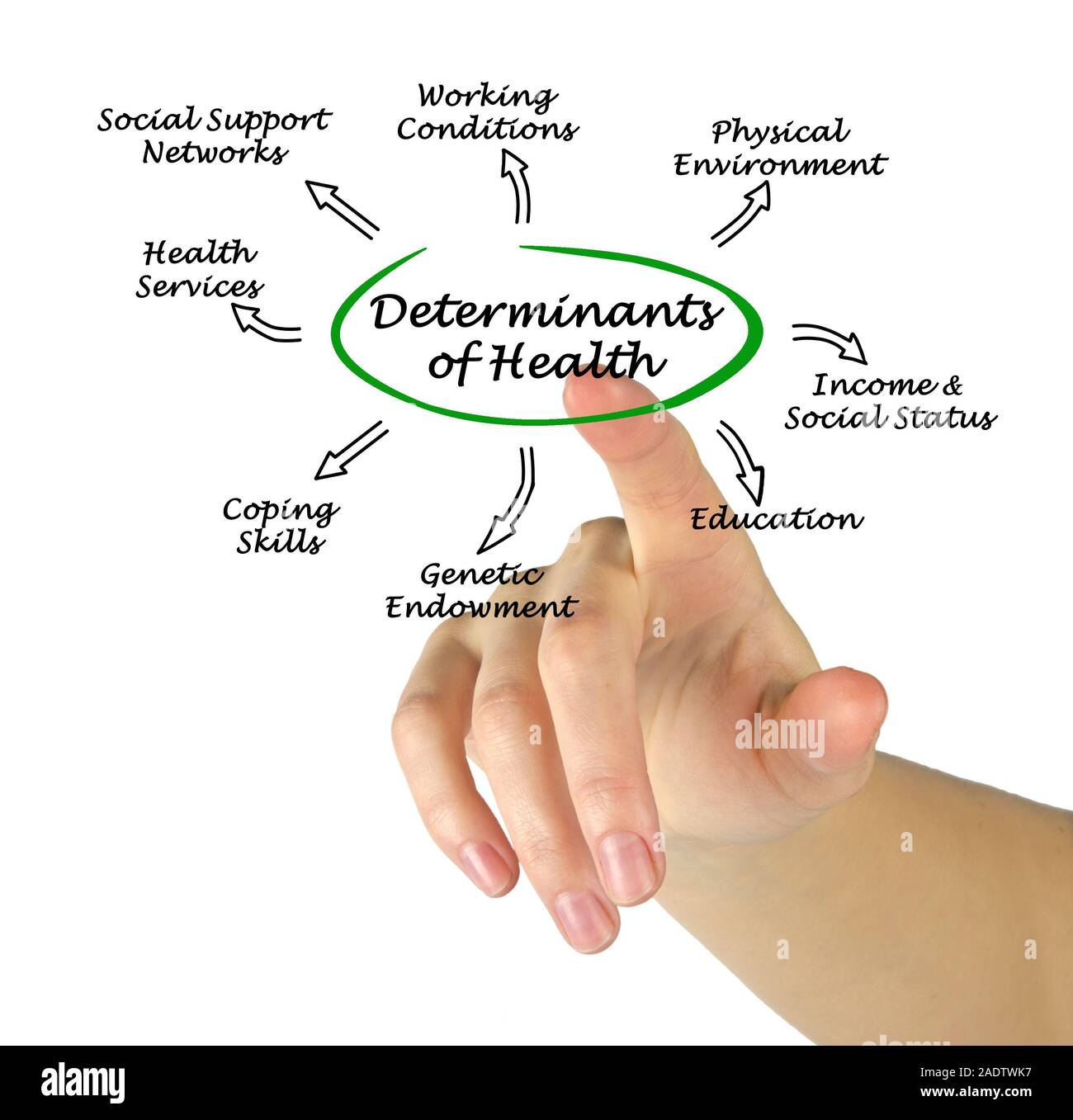 Social determinants of health hi-res stock photography and images - Alamy