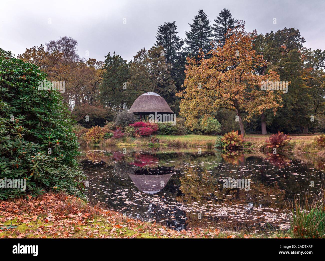 Pavilion walk hi-res stock photography and images - Alamy