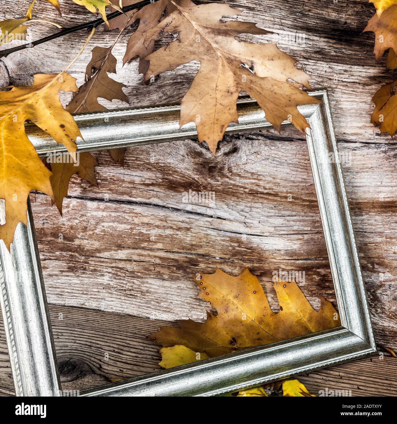 autumn picture frame - close up Stock Photo - Alamy