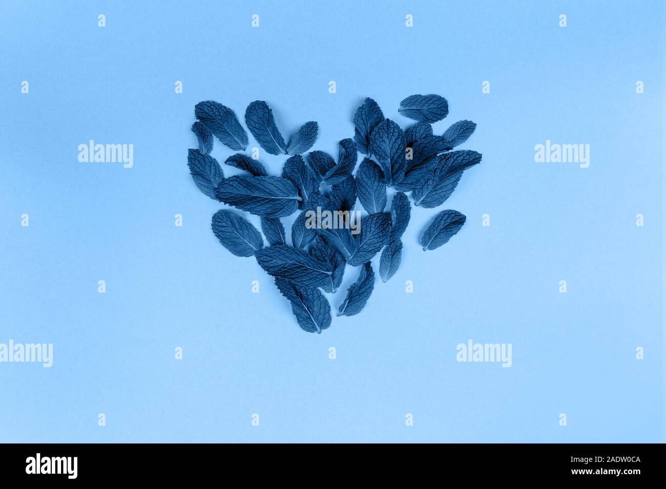 Heart made of mint leaves on the trendy solid blue backdrop, ecology ...