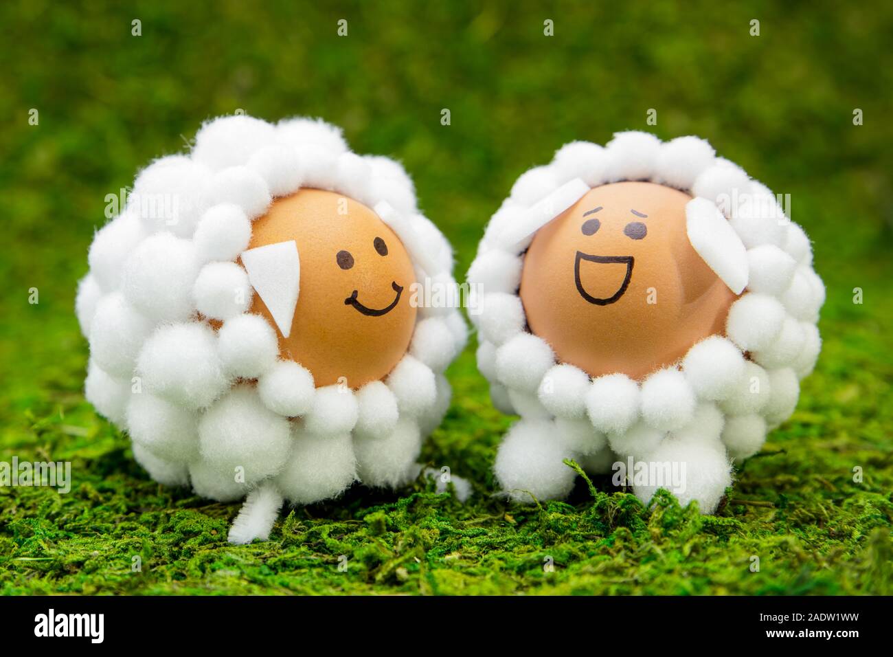 Greeting card with sheep hi-res stock photography and images - Alamy