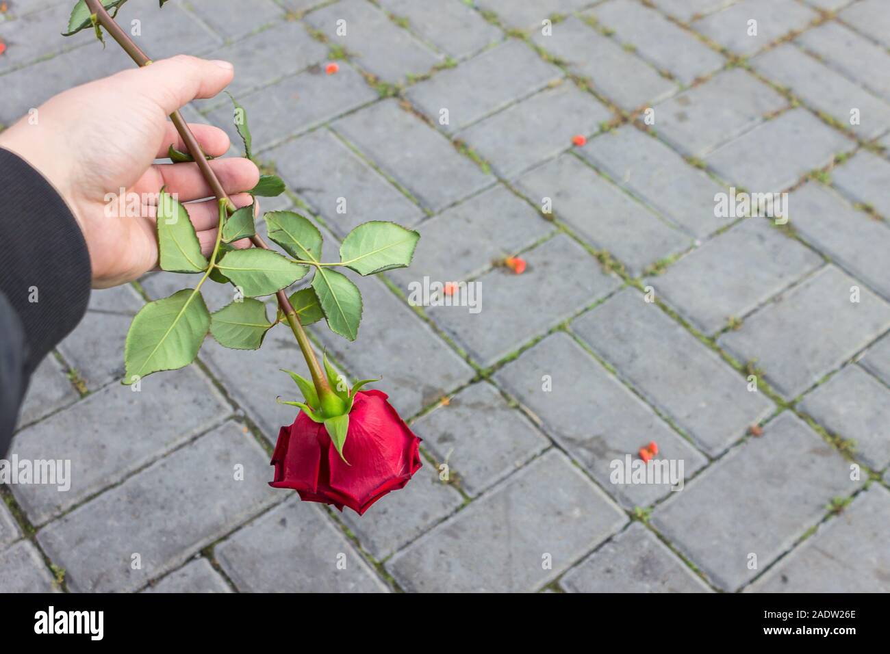 Man dropping trash hi-res stock photography and images - Alamy