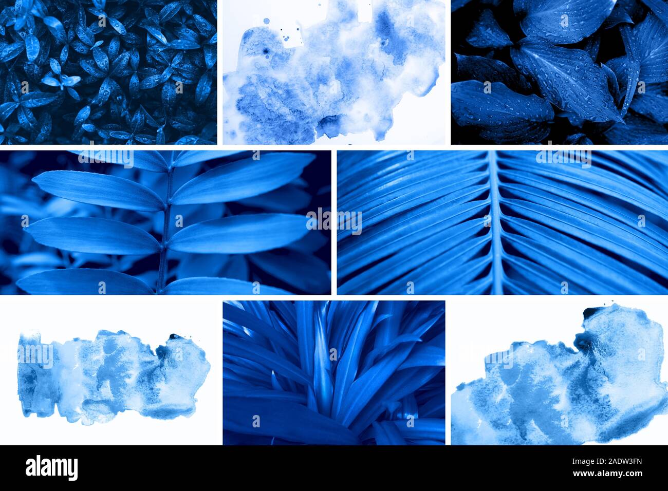 Creative collage tinted in blue color Stock Photo - Alamy