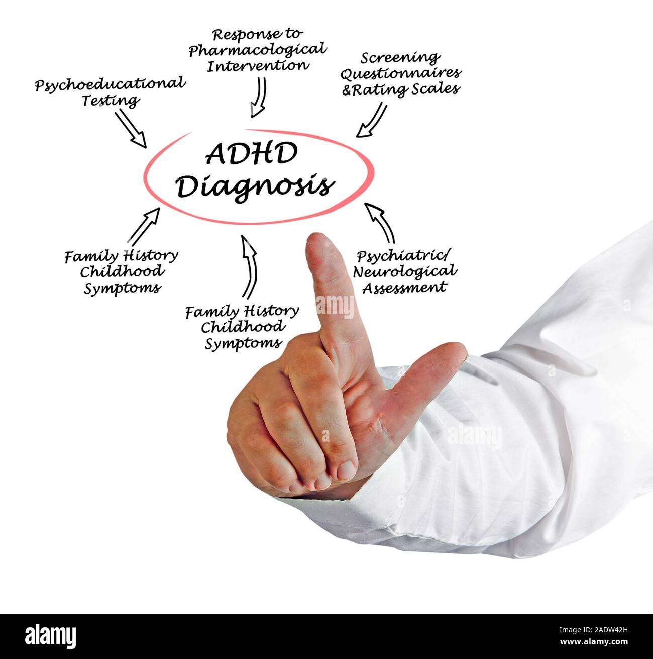 Adhd psychology Cut Out Stock Images & Pictures - Alamy
