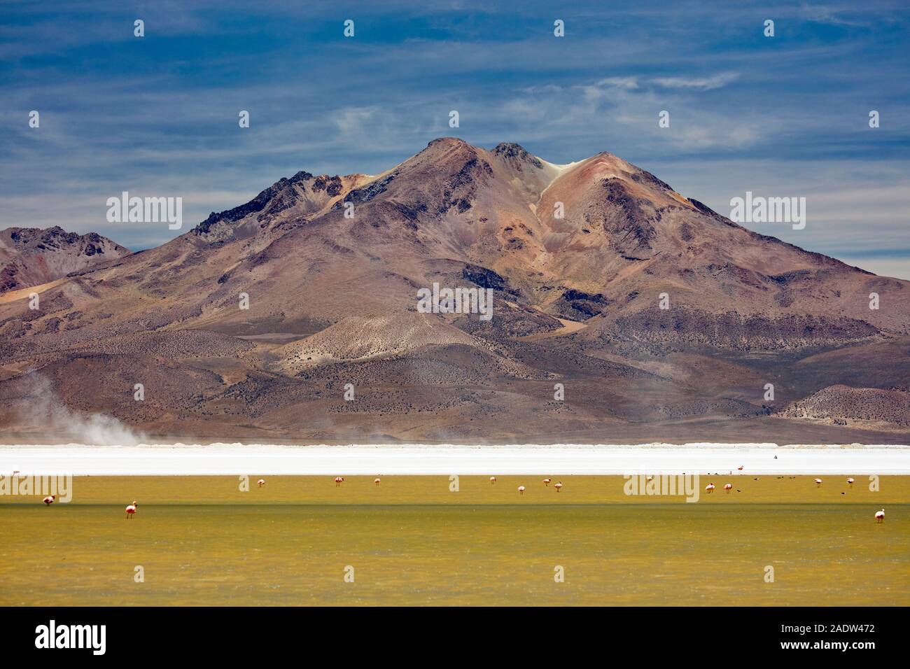 Salar de Surir Stock Photo - Alamy