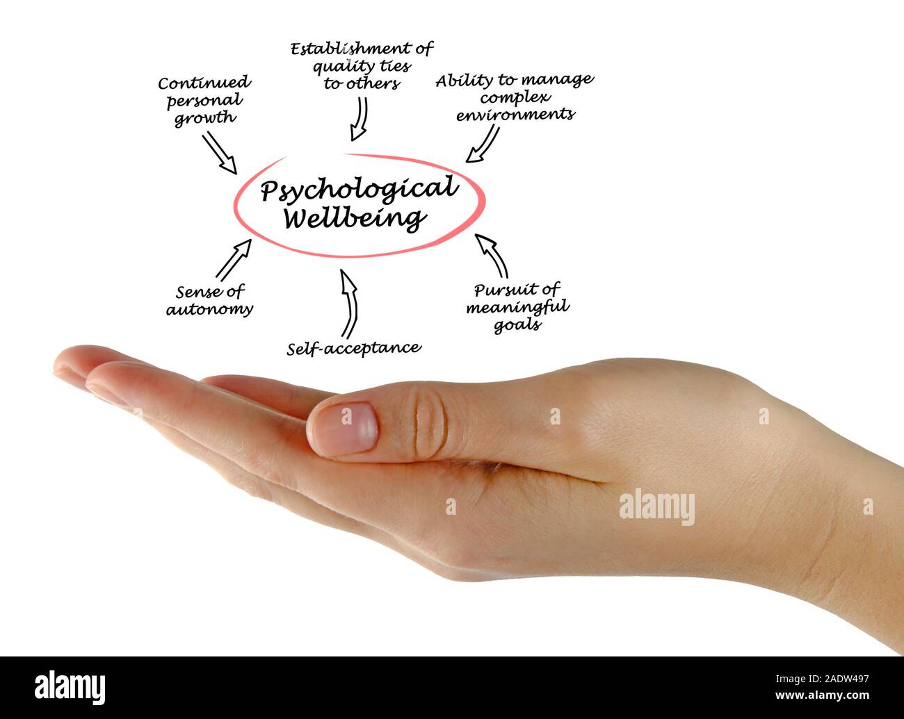 Psychological growth hi-res stock photography and images - Alamy