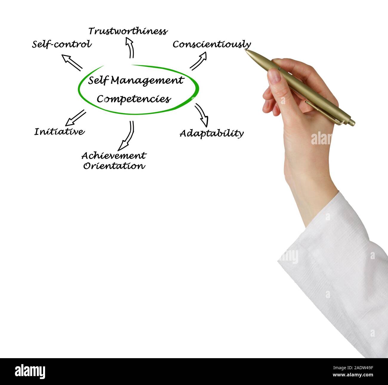 Self Management Competencies Stock Photo - Alamy